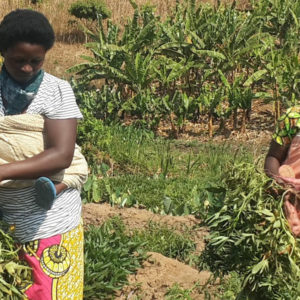 Animals – KARI.org