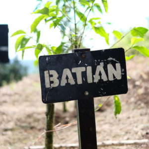 Animals – KARI.org