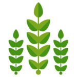 About Us – KARI.org